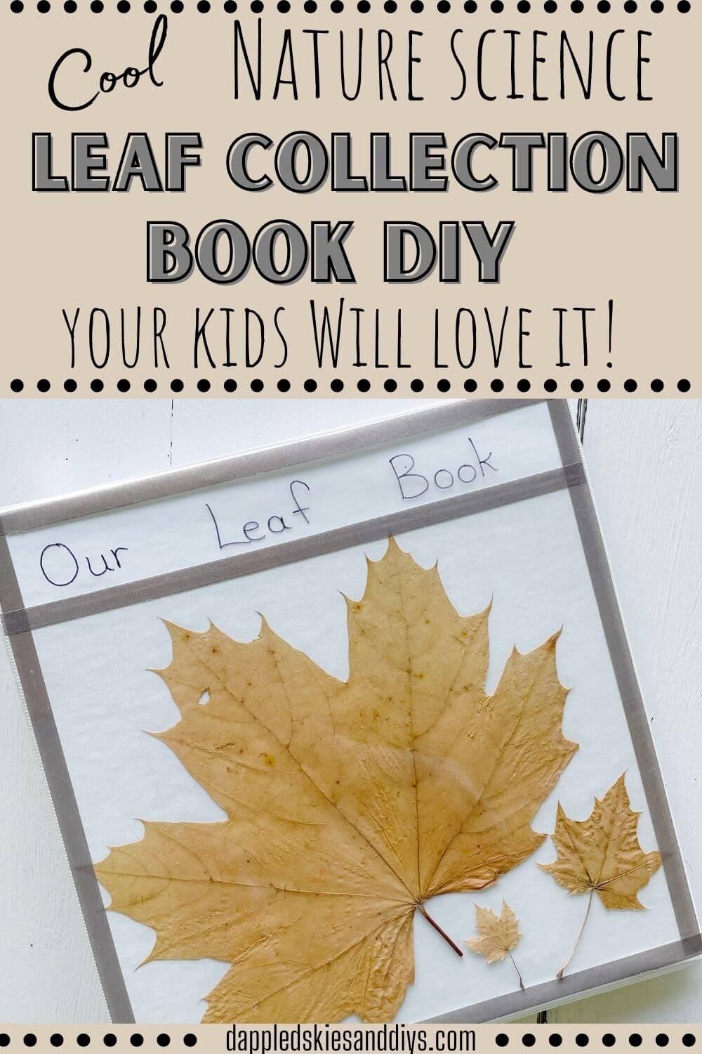 How to Make a Leaf Collection Book for Kids - Dappled Skies and Diys