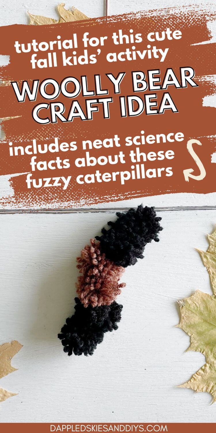 Pom Pom Caterpillar Craft (with Woolly Bear Science Facts) - Dappled ...