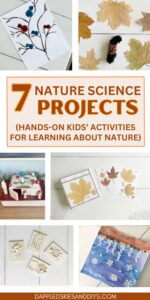 7 Unique Nature Science Project Ideas for Kids - Dappled Skies and Diys